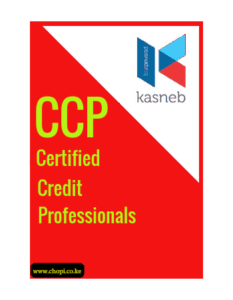 KASNEB NOTES AND REVISION KITS - KASNEB REVISED STUDY NOTES|REVISION KITS
